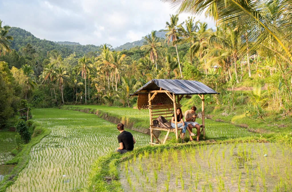 Living in Bali : my experience + things you should know - ayo-jalan ...